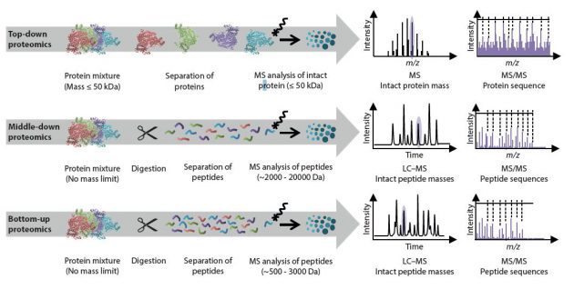 proteomics_strategy - Lab Akademi