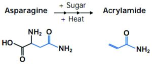 Gıdalarda Akrilamid Oluşumu - Lab Akademi
